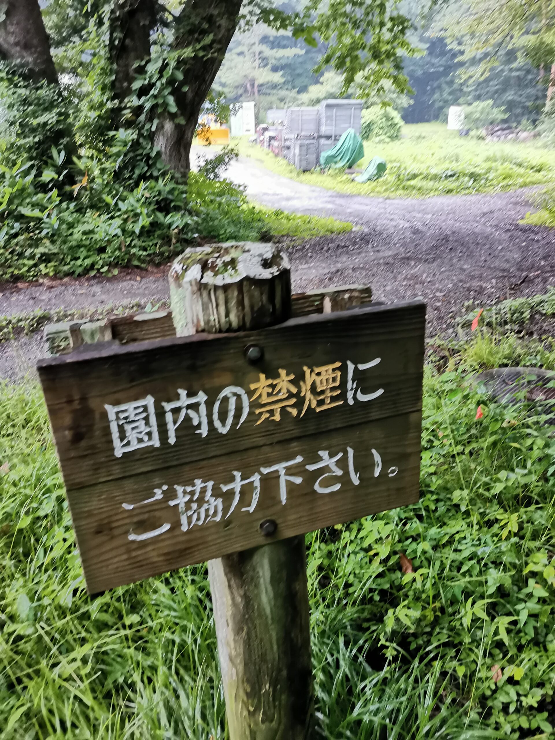 IMG_20220730_145835 | 那須観光から日光・宇都宮観光など