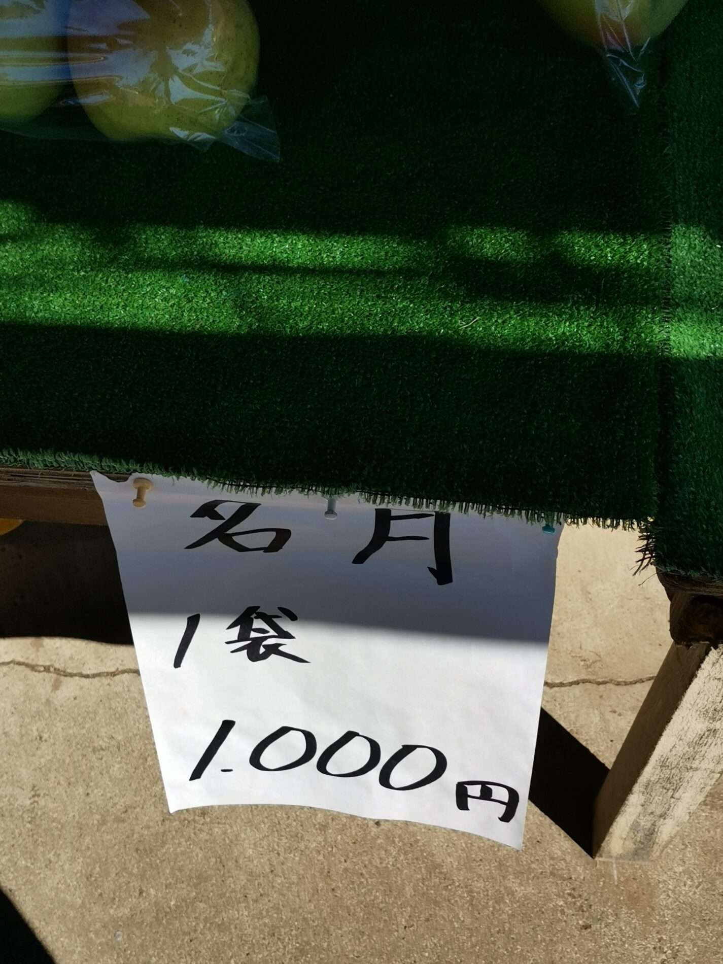 IMG_20231022_115259 | 那須観光から日光・宇都宮観光など